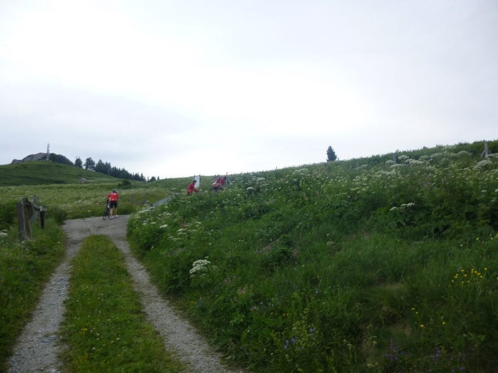 Villard de Notre Dame | Coast Busters